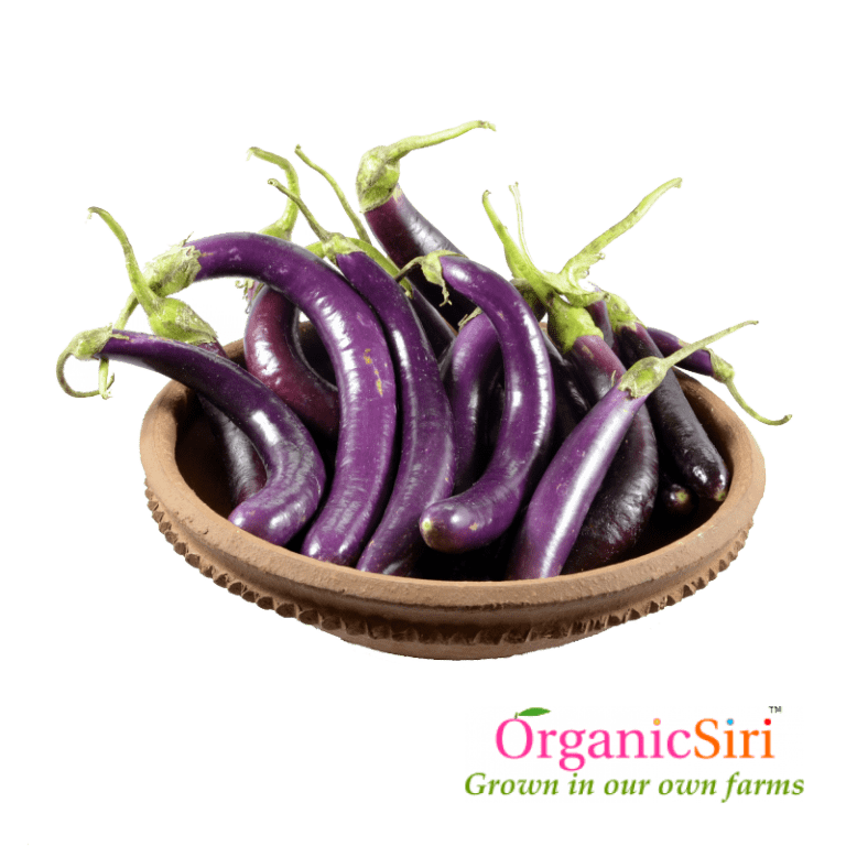 Organic Brinjal Long Purple 500g - OrganicSiri Organic Farm Food Service