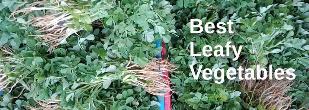 Best Leafy Vegetables: 3 Reasons to Rejoice with our Greens ...